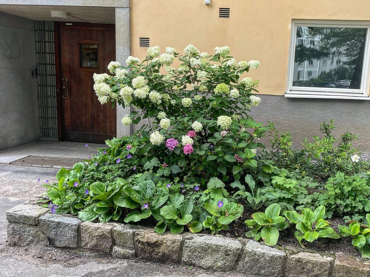 Nya planteringar efter dränering - Smart Garden